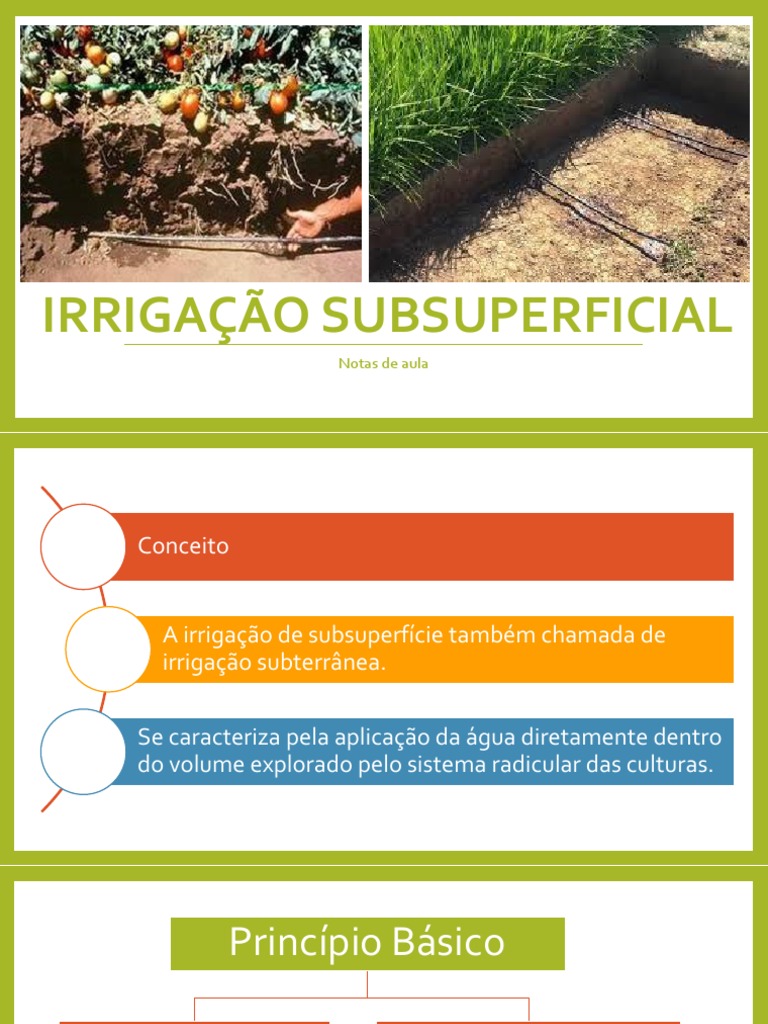 Aula 10 - Irrigação Subsuperficial | PDF | Irrigação | Agricultura