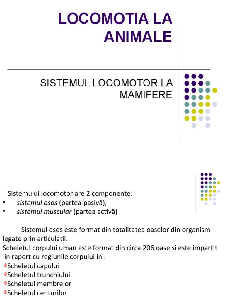 Locomotia La Animale | PDF