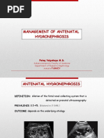 UTD Classification for Radiologists | PDF | Radiology | Urology