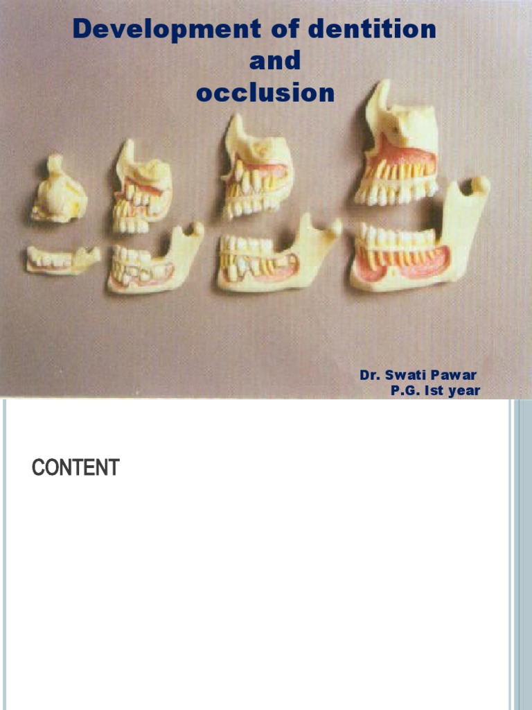 Development of Dentition | PDF