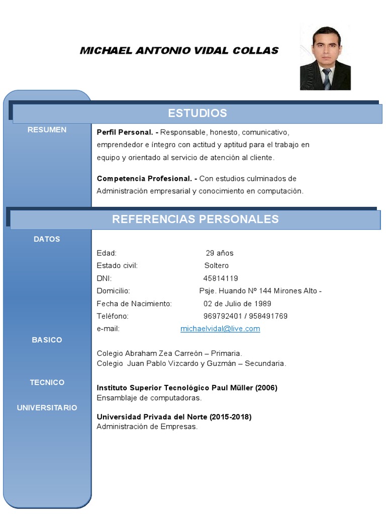 CV Michael Vidal | PDF | Presupuesto | Economias