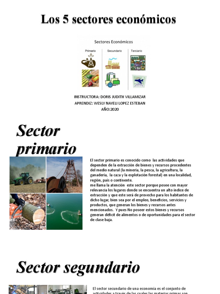 Los 5 Sectores Econmicos De La Economa Actividades Sectores