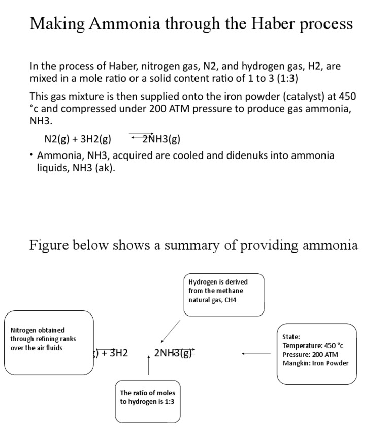 Making Ammonia Through The Haber Process | PDF
