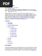 Lataif | PDF | Islamic Mysticism | Nondualism