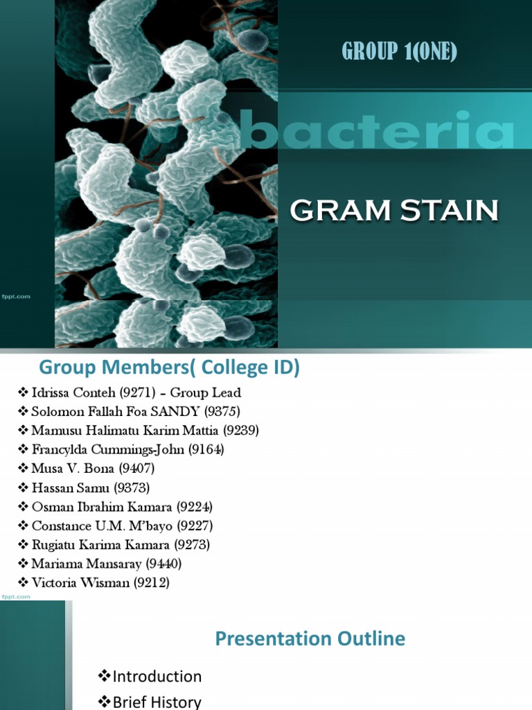 Group 1 Gram Stain Report: A Comprehensive Overview of the Gram ...