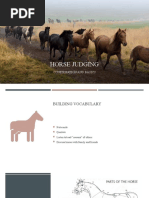 Pony Club C Test Guidelines | PDF | Horse Gait | Horses