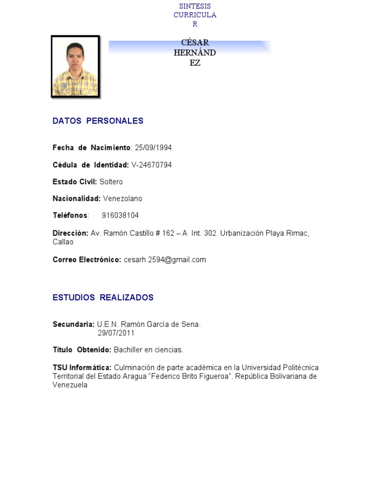 Curriculum Cesar1 | PDF