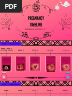 48 96 Hour Chick Embryo Wholoe Mount and Serial Sections Embryology ...