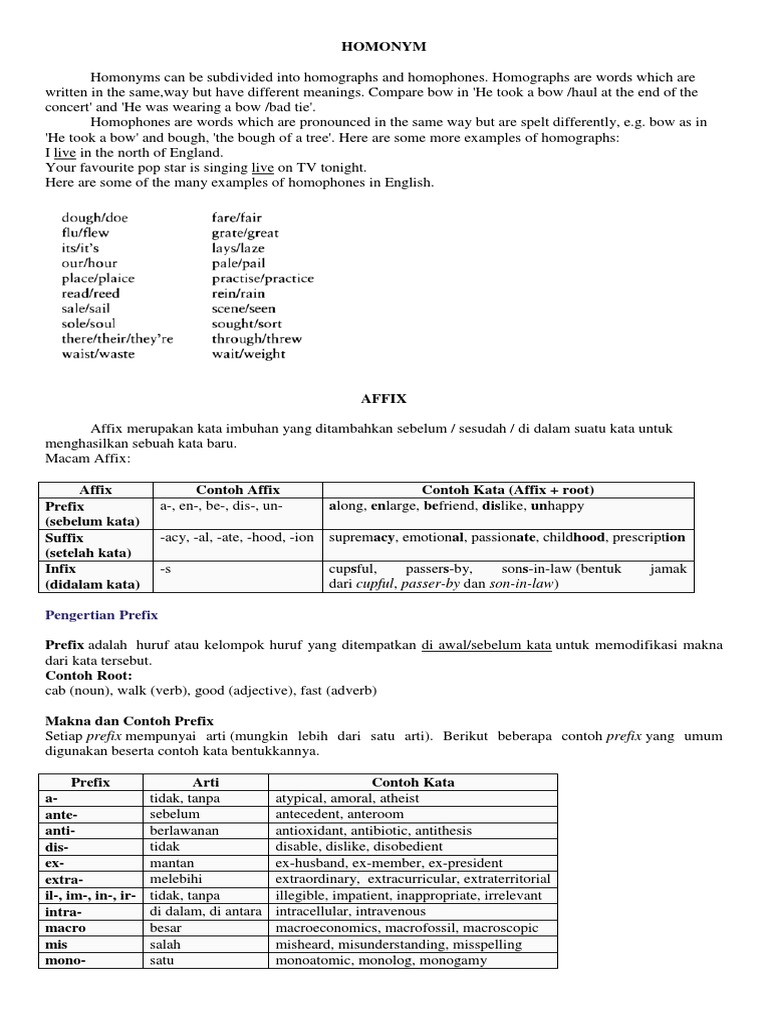 Homonym and Affix | PDF