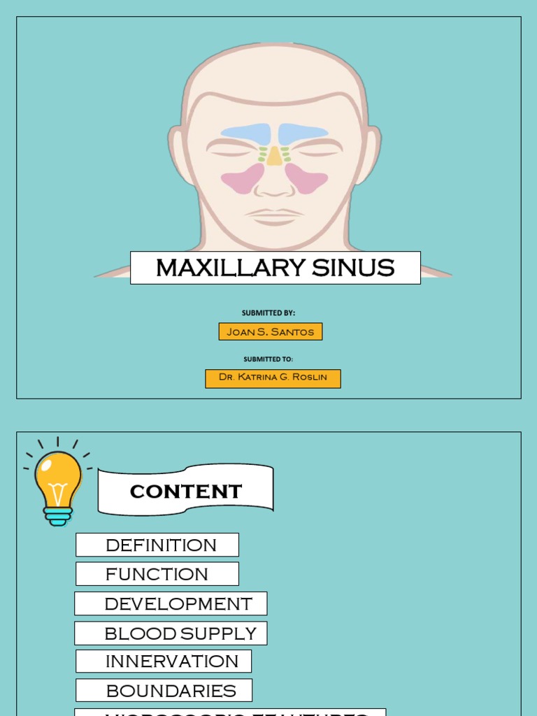 Maxillary Sinus: Joan S. Santos | PDF | Epithelium | Human Nose