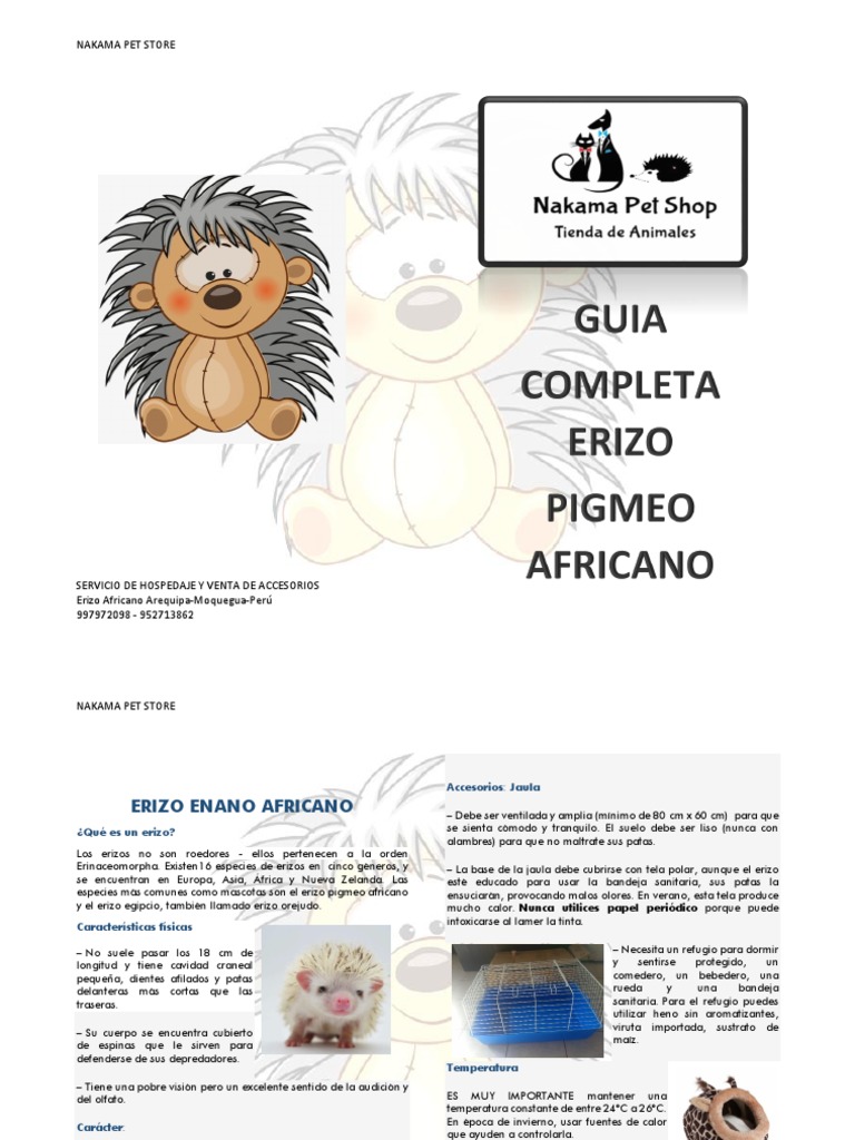 Guia Basica Del Erizo V 1 Pdf