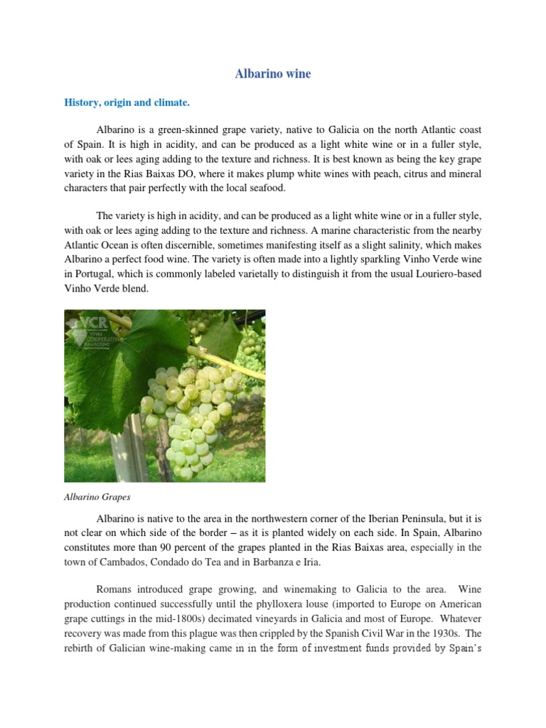 Albarino Wine | PDF | Grape | Wine