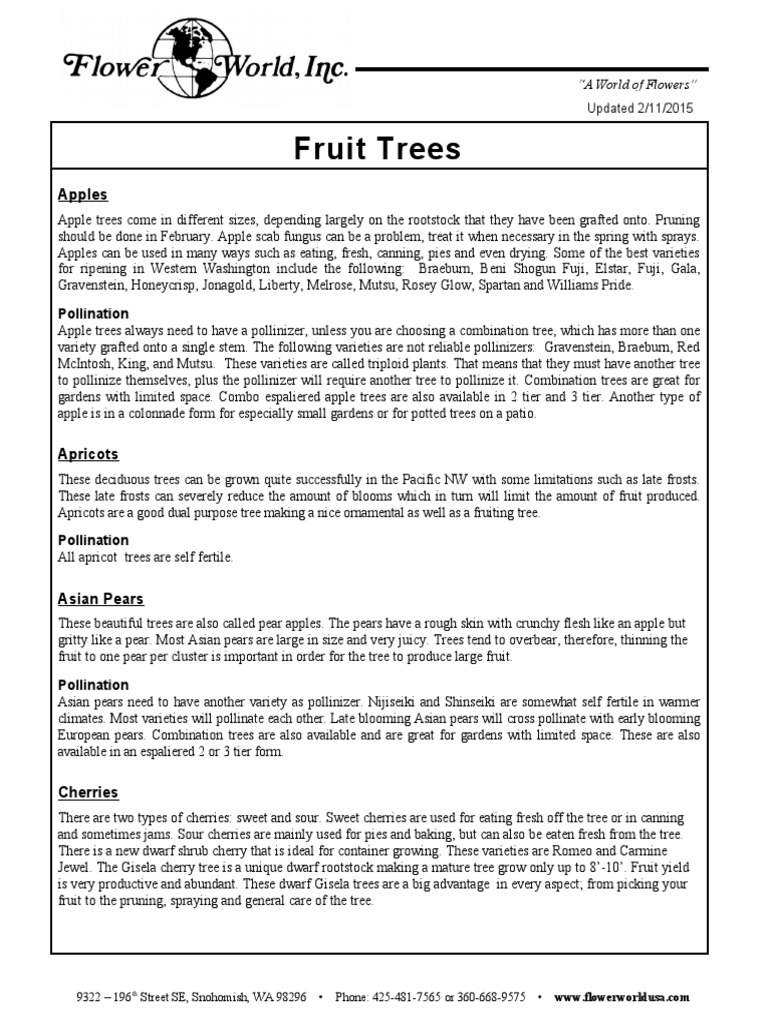 Fruit Trees: Apples | PDF | Peach | Cherry