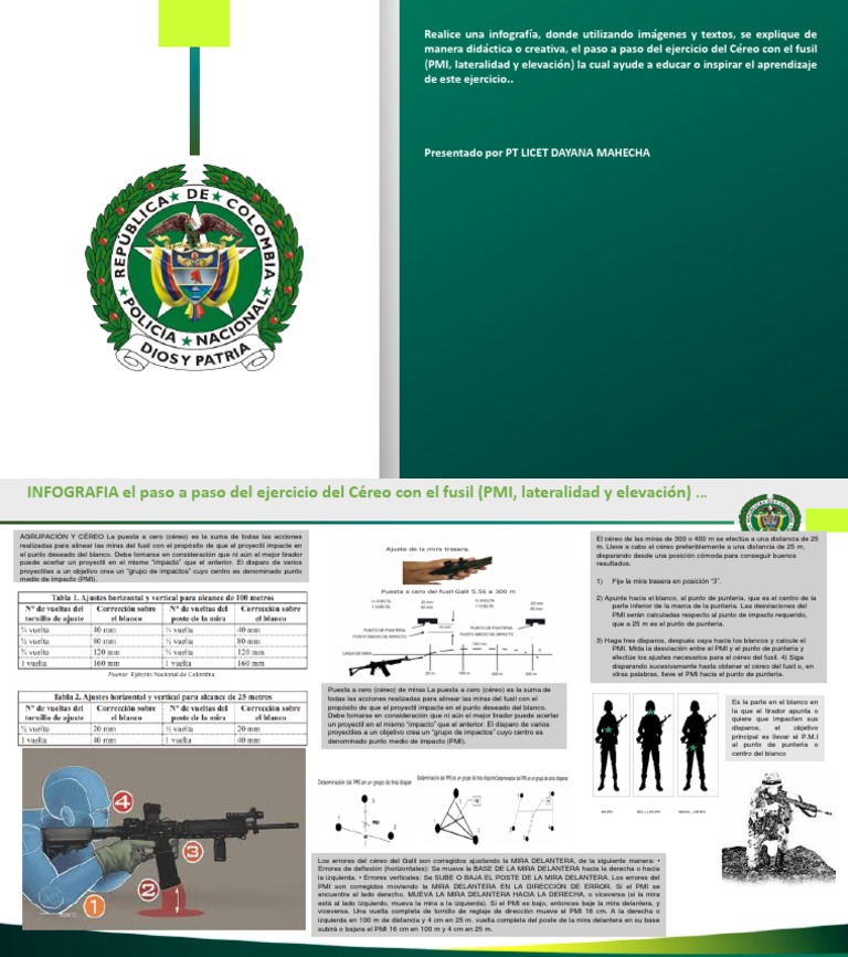 Infografía: Céreo con Fusil Paso a Paso | PDF | Rifle | Arsenal