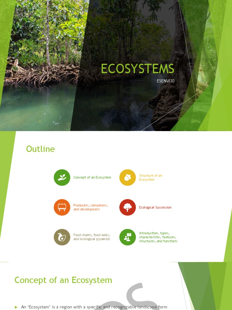 ECOSYSTEMS | PDF | Food Web | Aquatic Ecosystem