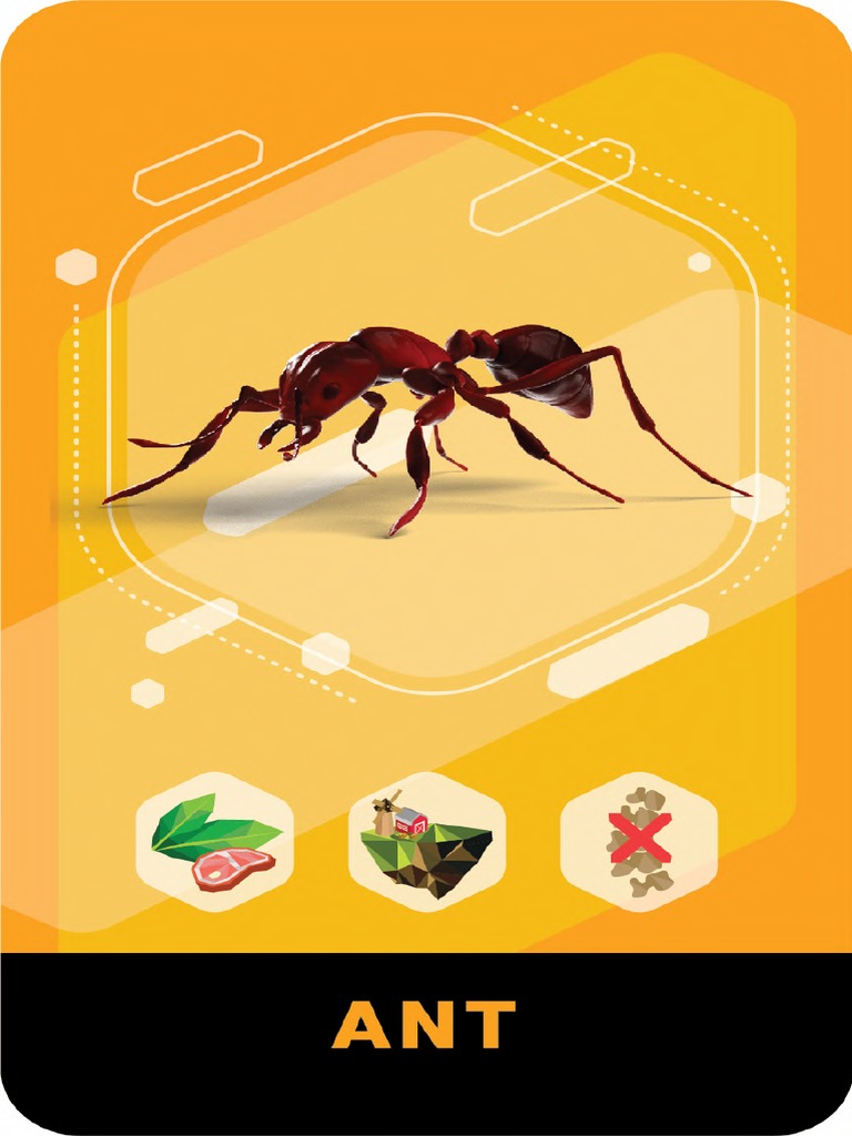 ANIMAL AR - Discovery #Mindblown | PDF