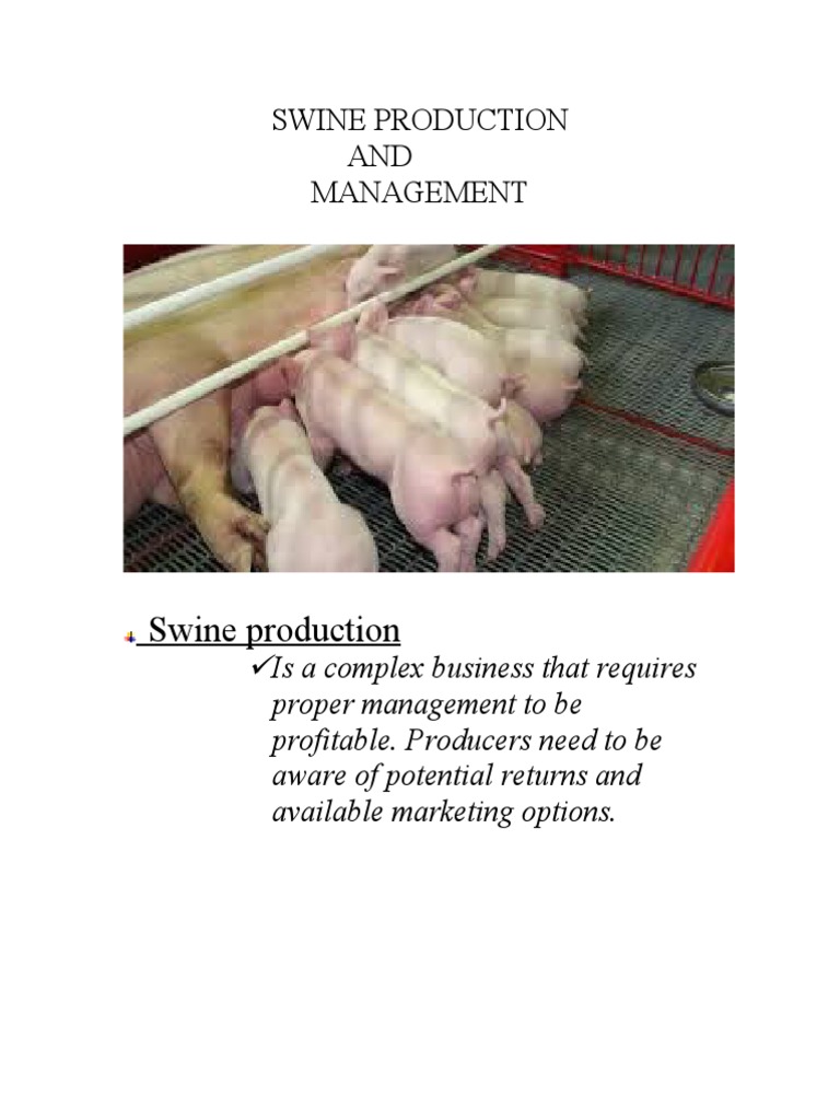 Essential Considerations for Successful Swine Production: A Focus on ...