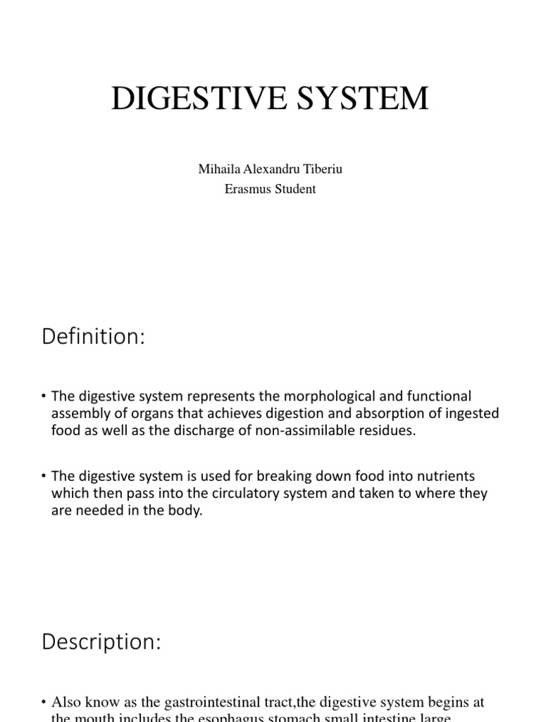 Digestive System | PDF | Stomach | Human Digestive System