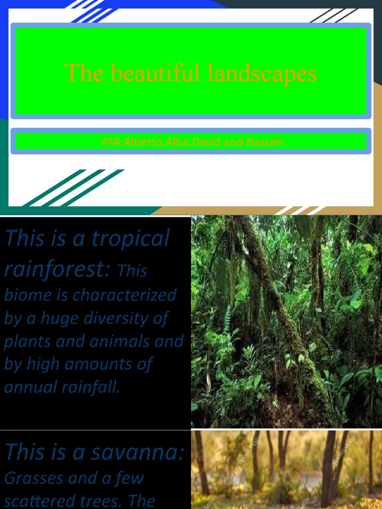 The Beautiful Landscapes | PDF
