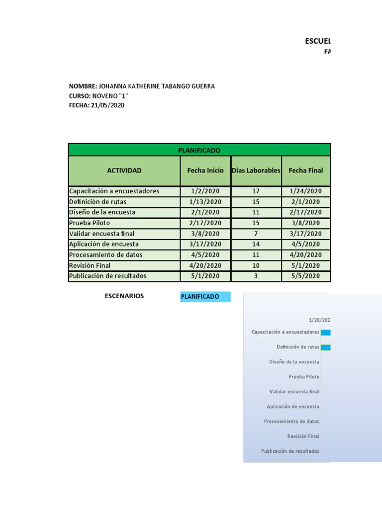 Cronograma de Actividades Planificadas | PDF | Ingeniería | Informática