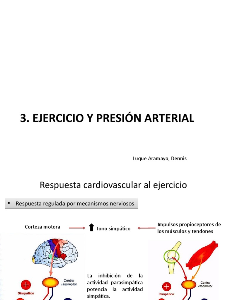 Efecto del Reflejo de Bainbridge en Ejercicio | PDF | Presión sanguínea ...