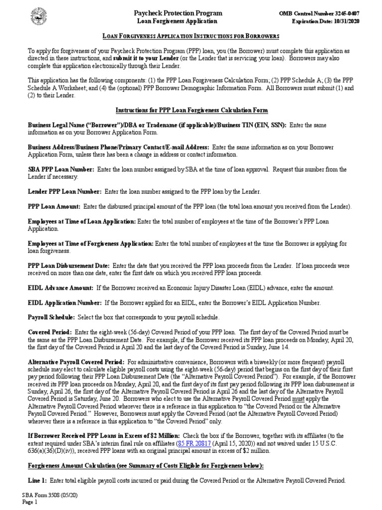 SBA Form 3508 - PPP Forgiveness Application | PDF | Payroll | Payroll Tax