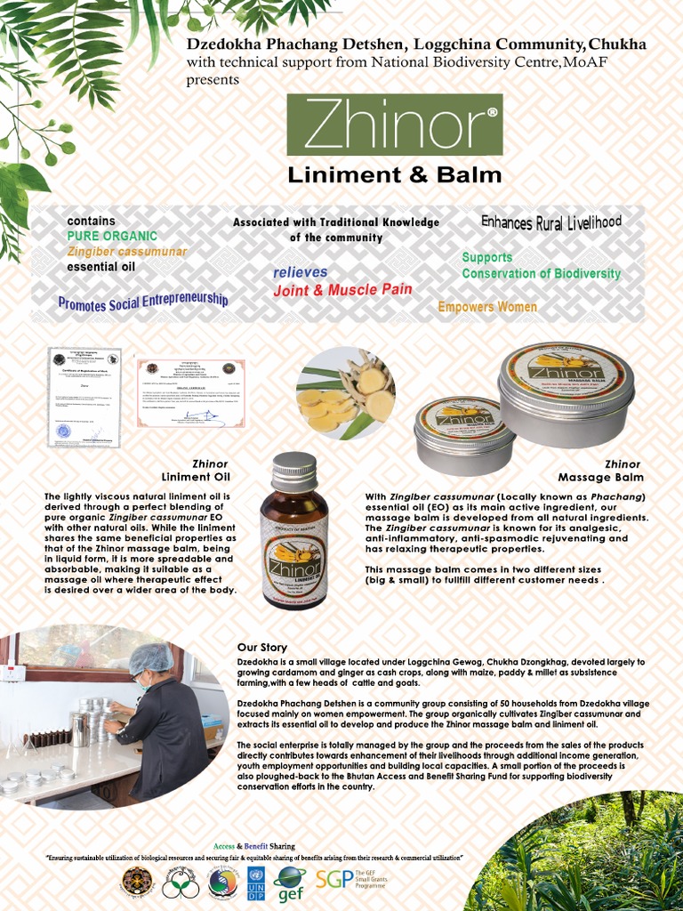 Zhinor Massage Balm and Liniment Oil Flyer PDF | Download Free PDF ...