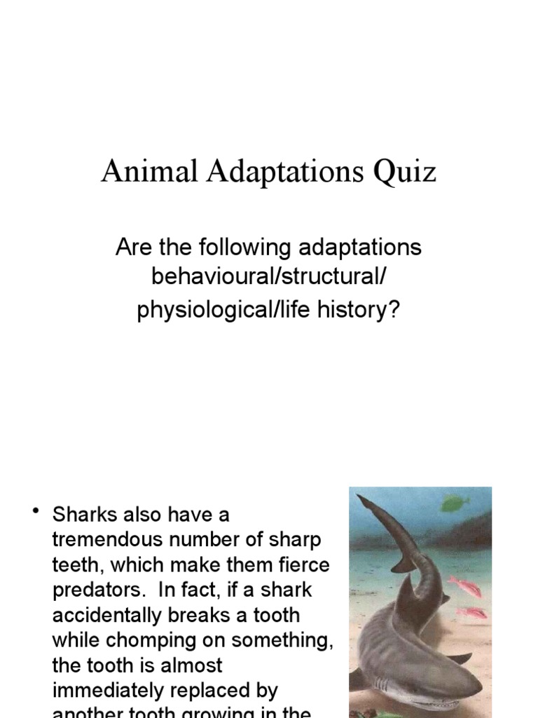 Animal Adaptations Quiz: Are The Following Adaptations Behavioural ...