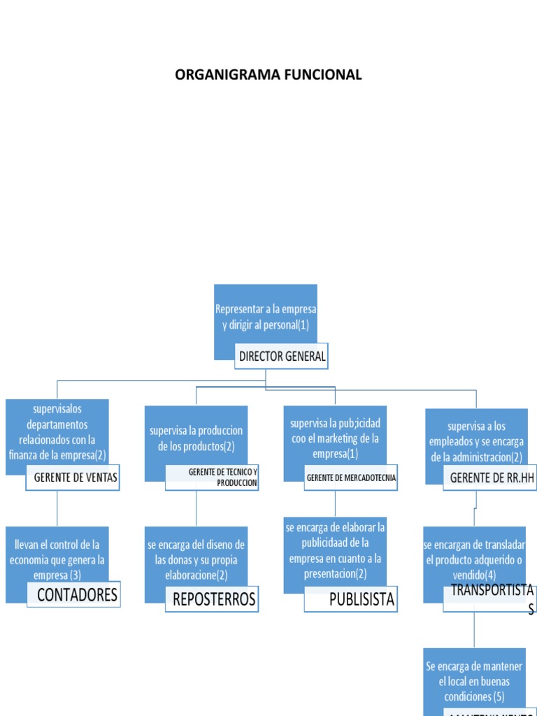Organigrama Funcional - Distingue | PDF