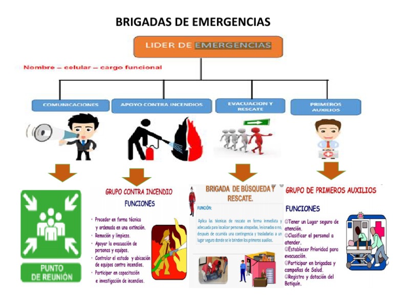 Cuantos Tipos De Brigadas Existen