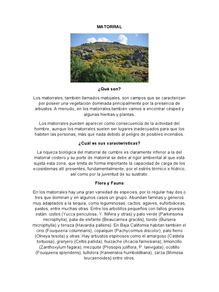 MATORRAL | PDF | Plantas | Jardinería Sostenible