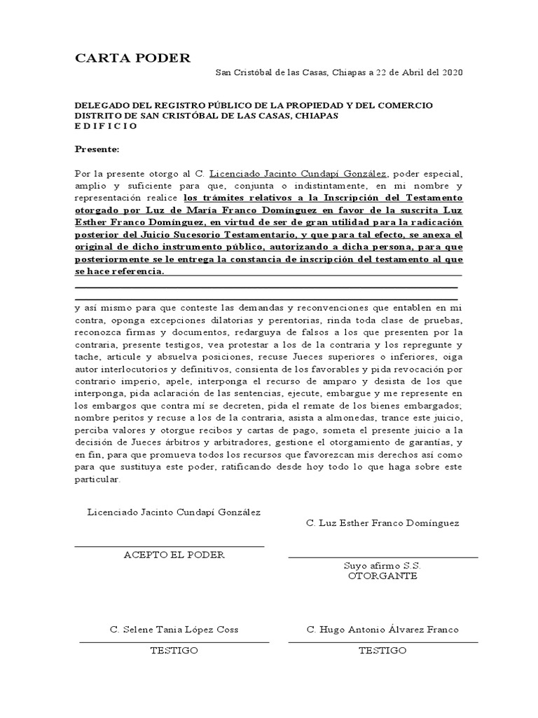Carta Poder Formato | PDF | Gobierno | Justicia