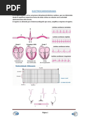 Electrocardiograma Pdf Electrocardiograma En Flashcards PDF