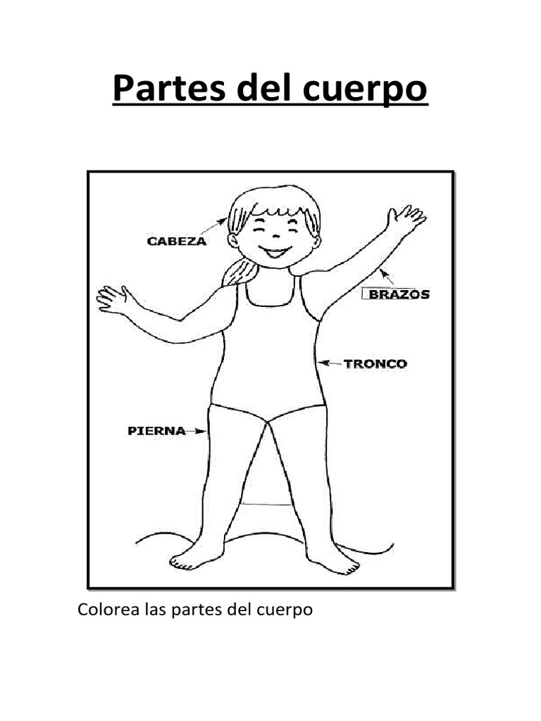 Partes Del Cuerpo Para Colorear Partes Del Cuerpo Humano Para Colorear