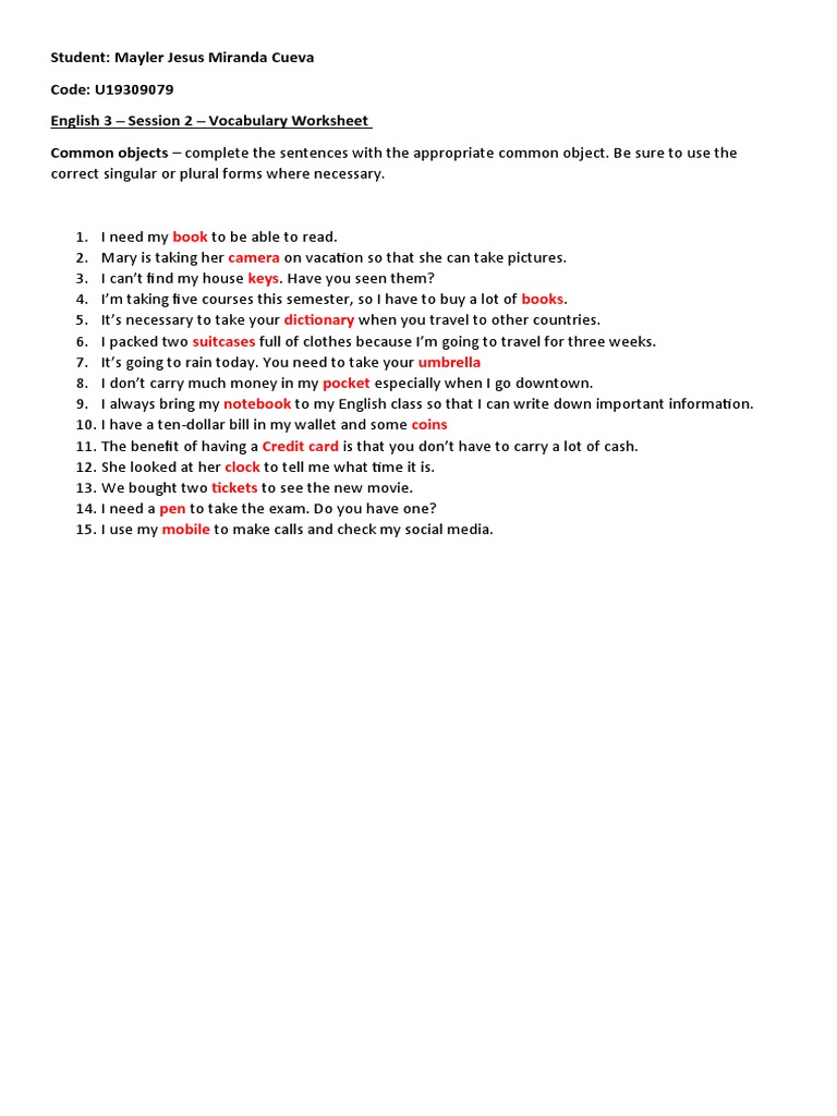 Common Objects in Context: A Vocabulary Worksheet Identifying Singular ...