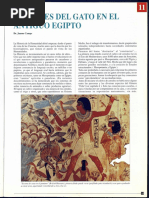 Texto Expositivo El Gato | PDF