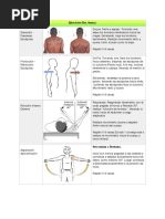 Ejercicios para La Escápula | PDF