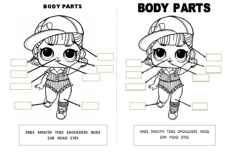 Knee Mouth Toes Shoulders Nose Ear Head Eyes | PDF