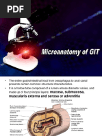 Histology of Git | PDF | Epithelium | Human Digestive System