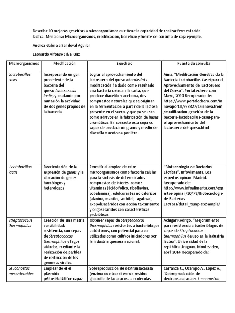 Bacterias Lacticas | PDF | Plásmido | Ácido láctico