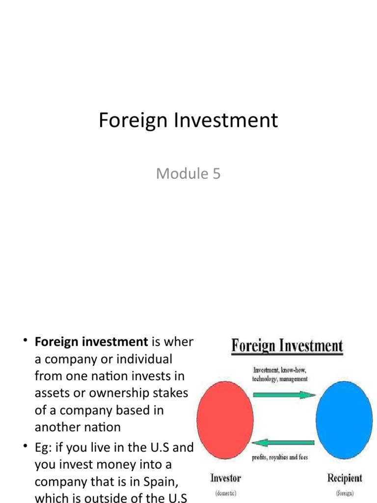 Understanding Foreign Investment Types | PDF | Foreign Direct ...