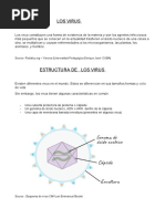 Infografia de Los Virus | PDF | Virus | Organismos