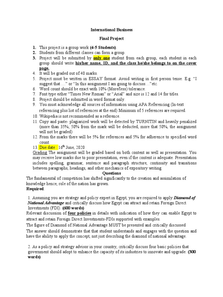 International Business Project Guidelines | PDF | Turnitin | Learning