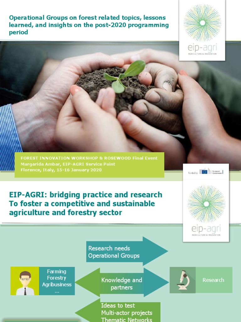 Operational Groups On Forest Related Topics, Lessons Learned, and ...