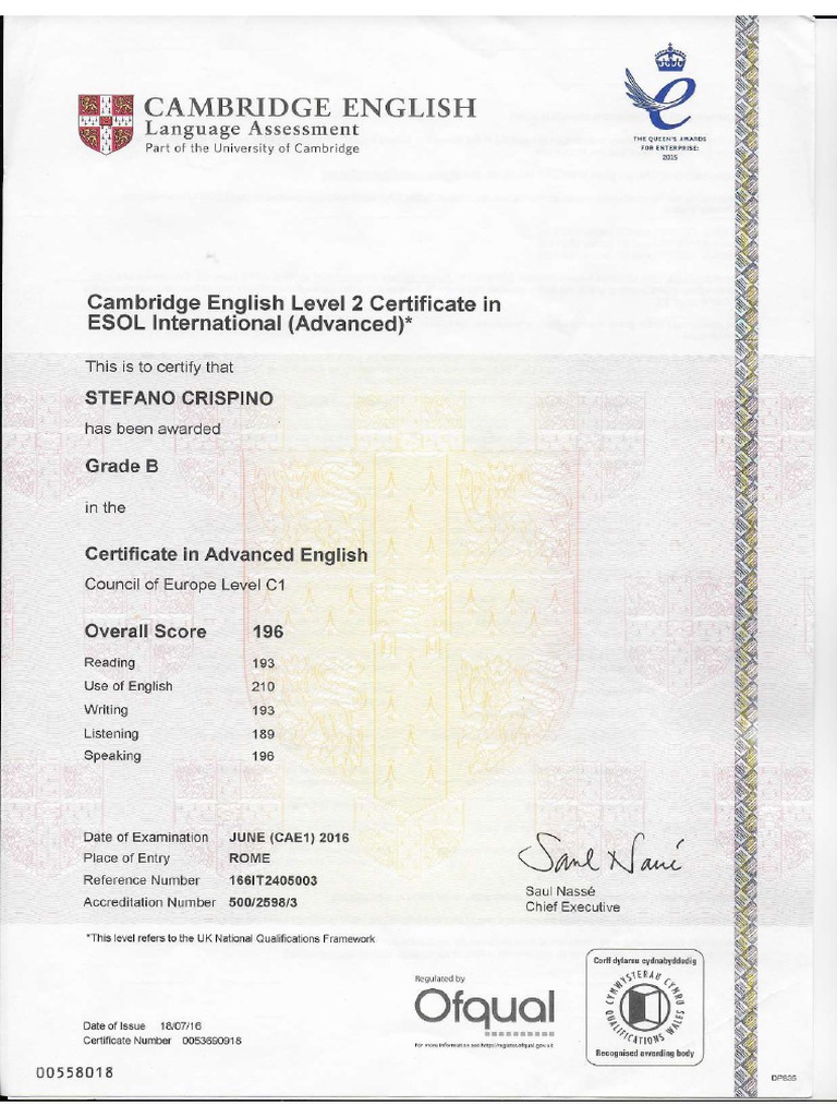 CAE Certification | PDF