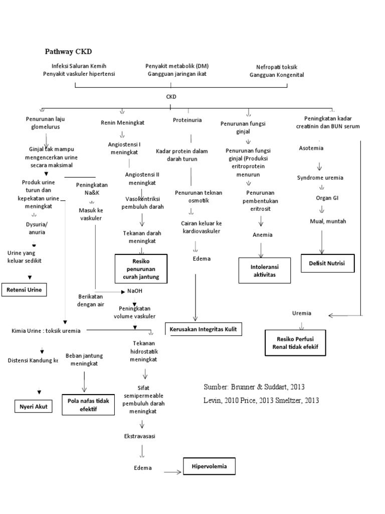 Pathway Gagal Ginjal Kronis dan Risiko | PDF