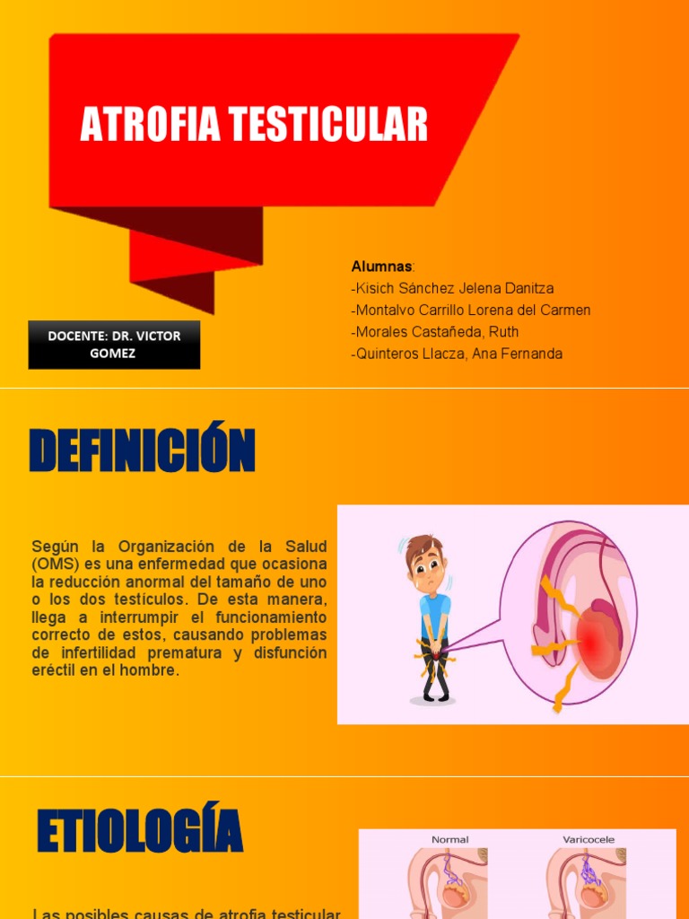 Atrofia Testicular | PDF | Testículo | Testosterona