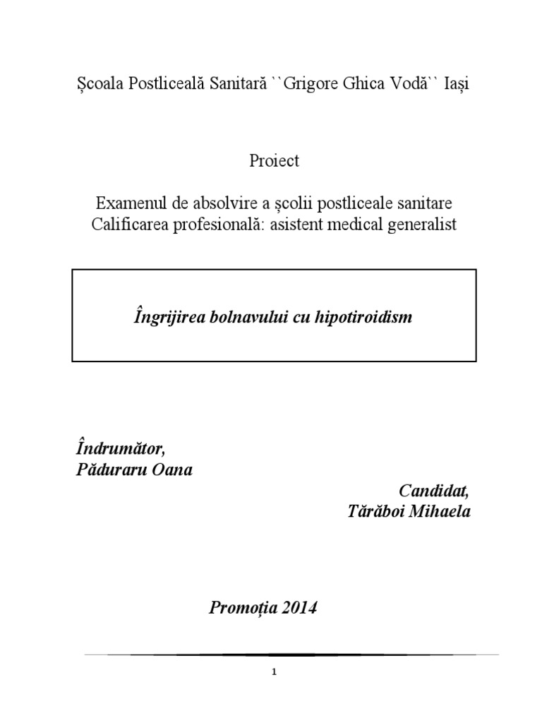 Proiect Diploma | PDF