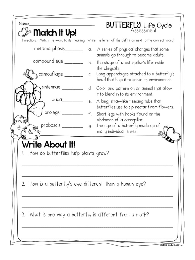 butterfly test | Butterfly | Insects And Humans