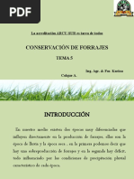 Festoneado en Prótesis Dental | PDF | Dentadura postiza | Ramas de ...